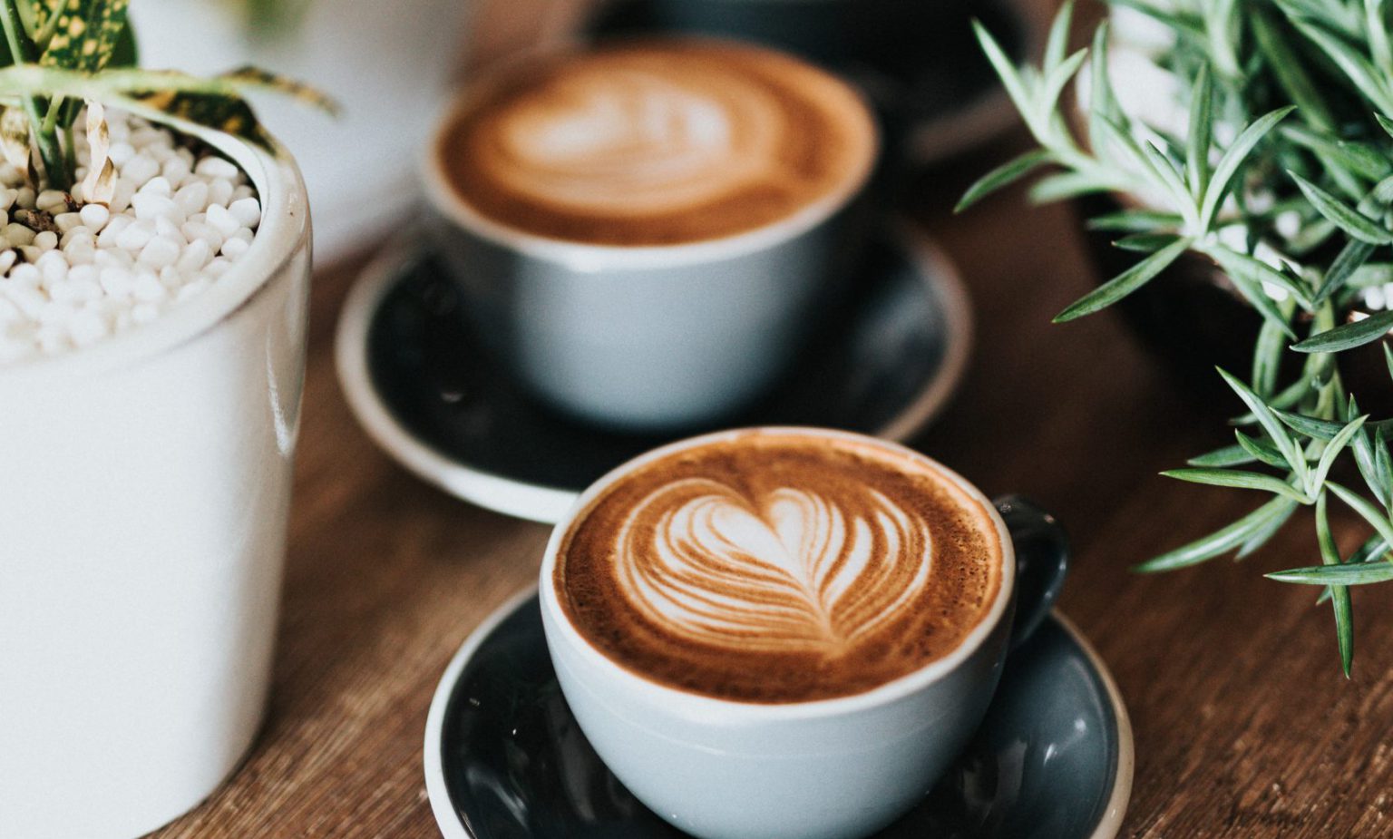 6 lucruri surprinzatoare pe care nu le stiai despre cafea - Andreea Raicu