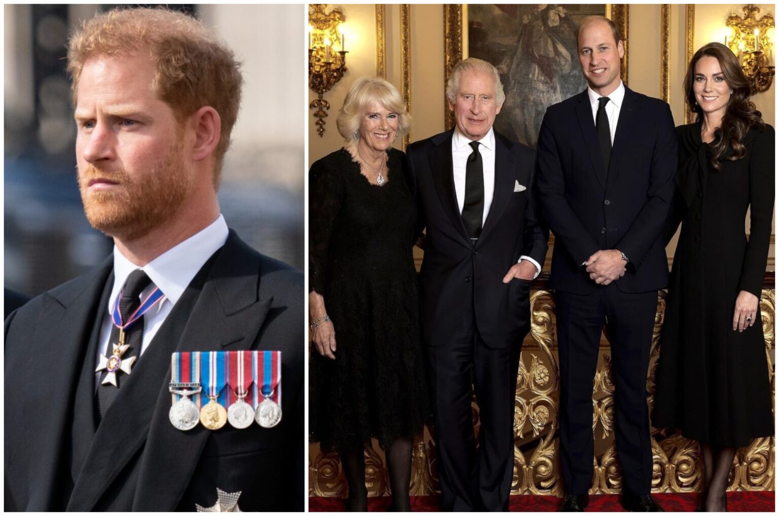 De ce nu se impaca Regele Charles si Printul Harry: Regele nu-si mai ...