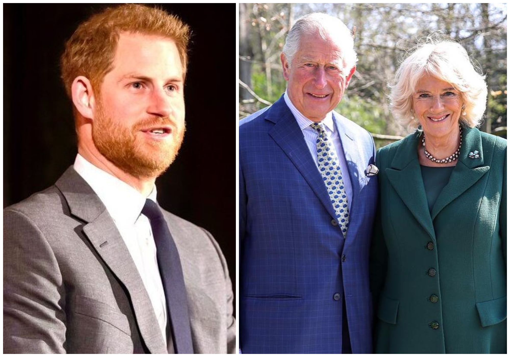 Printul Harry o ataca pe Regina Consoarta: "Camilla era periculoasa din ...